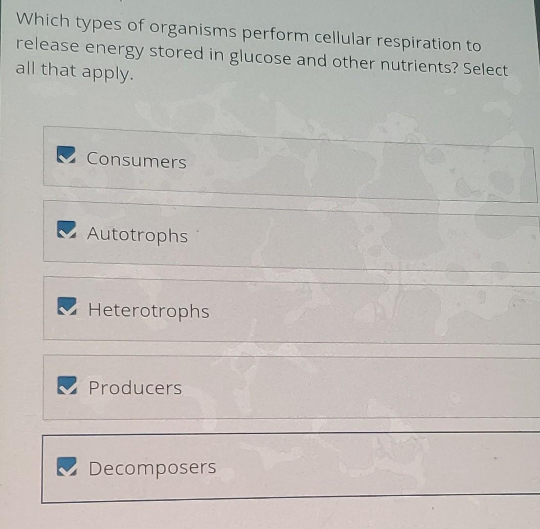 Solved Which types of organisms perform cellular respiration | Chegg.com