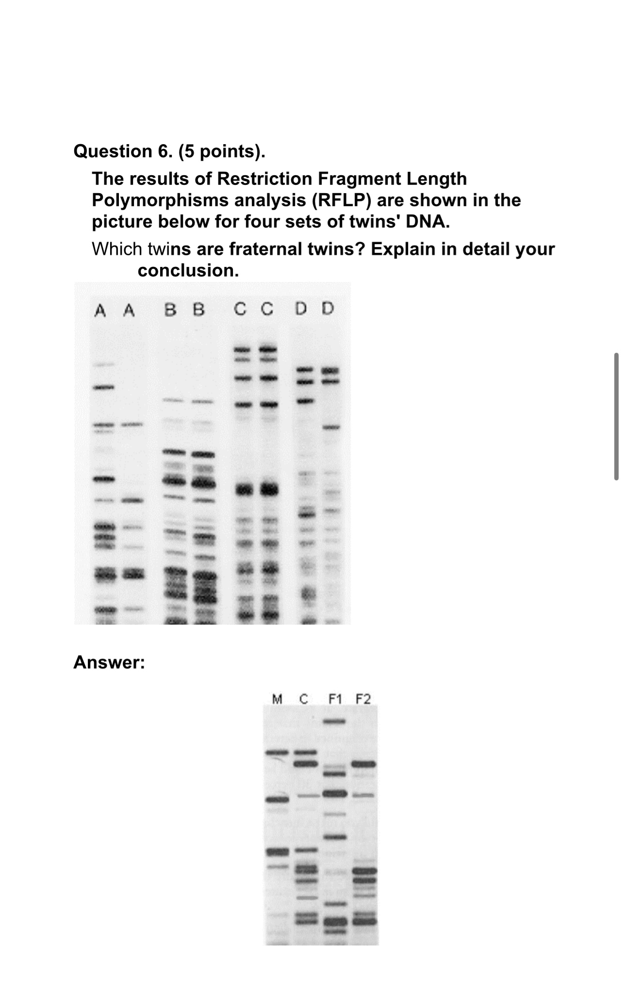 Solved The results of Restriction Fragment Length | Chegg.com