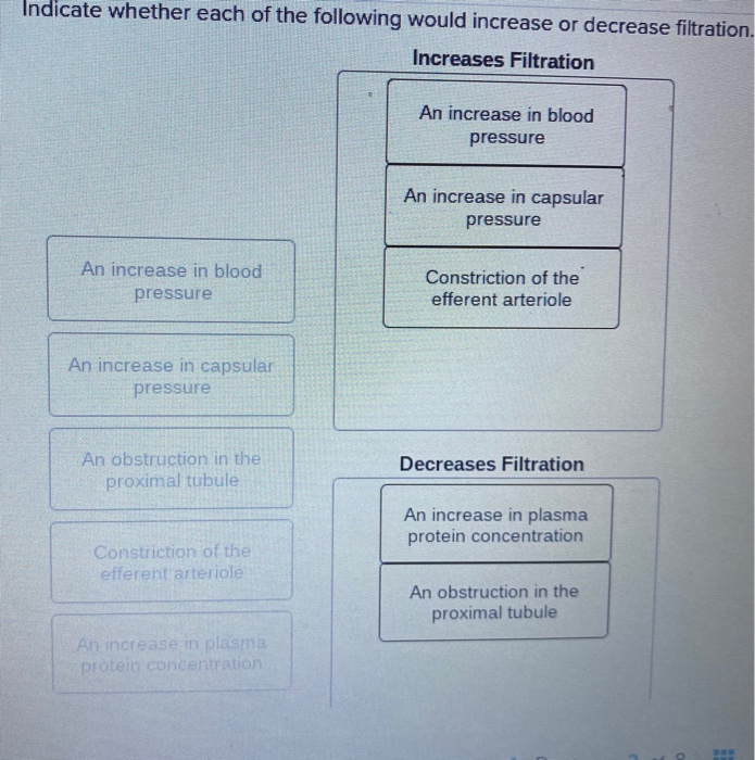 Solved Indicate whether each of the following would increase | Chegg.com