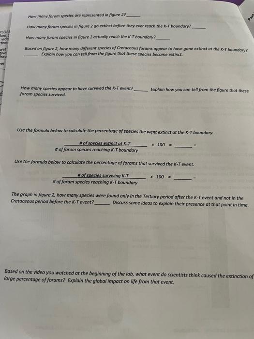 Solved Part 2: Analyzing Data on Forams Found near the K-T | Chegg.com
