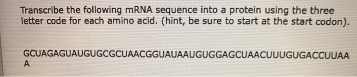 Solved Transcribe the following mRNA sequence into a protein | Chegg.com