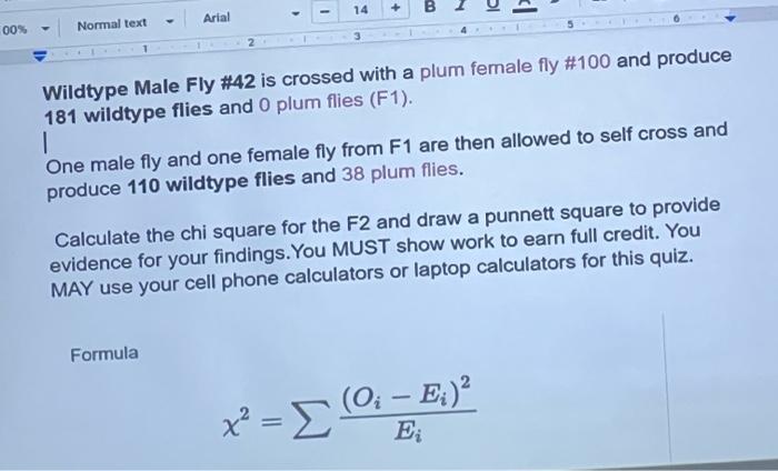 Solved Wildtype Male Fly #42 is crossed with a plum female | Chegg.com