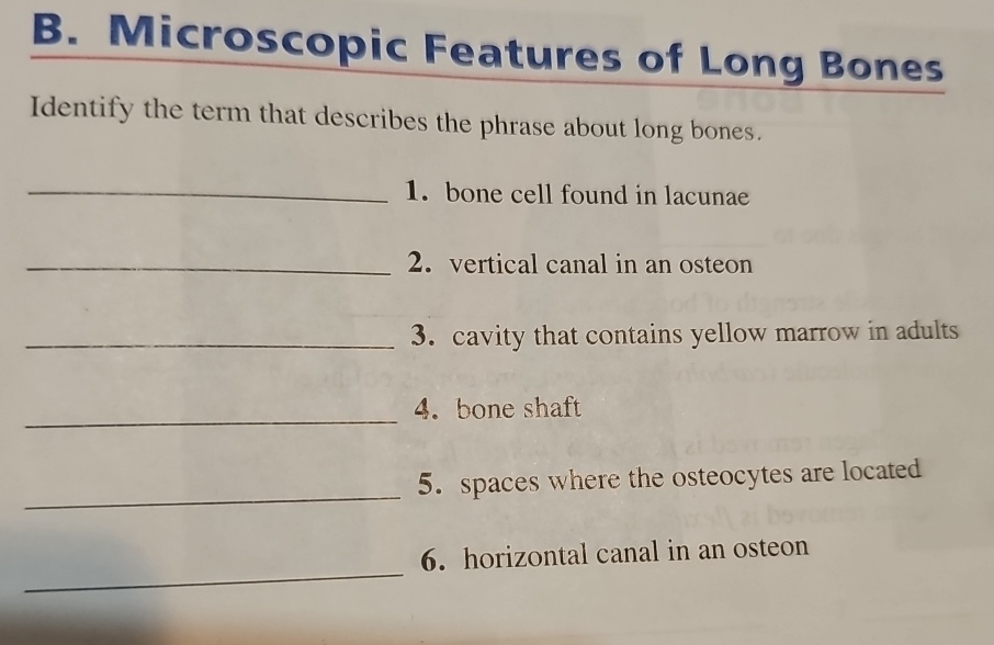 Solved B. ﻿Microscopic Features of Long BonesIdentify the | Chegg.com