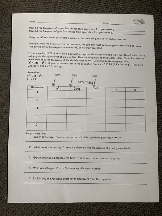 Nome Date Hardy-Weinberg Equilibrium 'Goldfish | Chegg.com