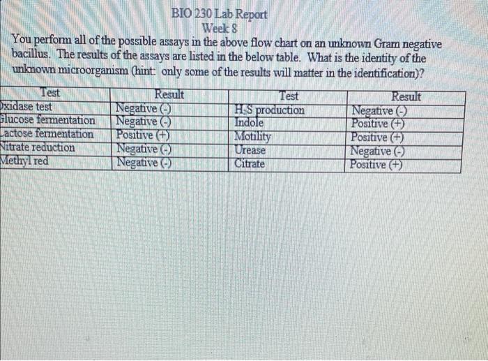 Solved me: BIO 230 Lab Report Week 8 Use the below | Chegg.com