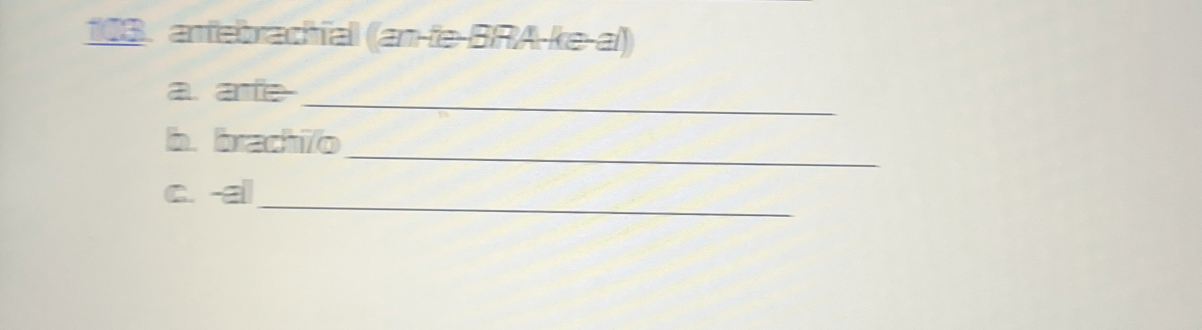 Solved 108 ﻿antebrachial (an-ie-BRA-heal)a. ﻿anteb. | Chegg.com