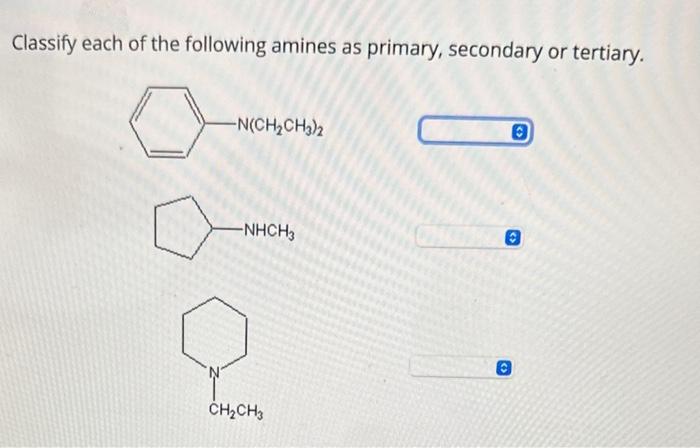 Solved Classify each of the following amines as primary, | Chegg.com