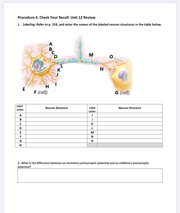 Solved Procedure 4. Check Your Recall: Unit 12 Review 1. | Chegg.com