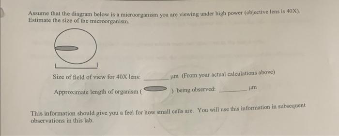 Solved microusiy microscopes are used to see very small | Chegg.com