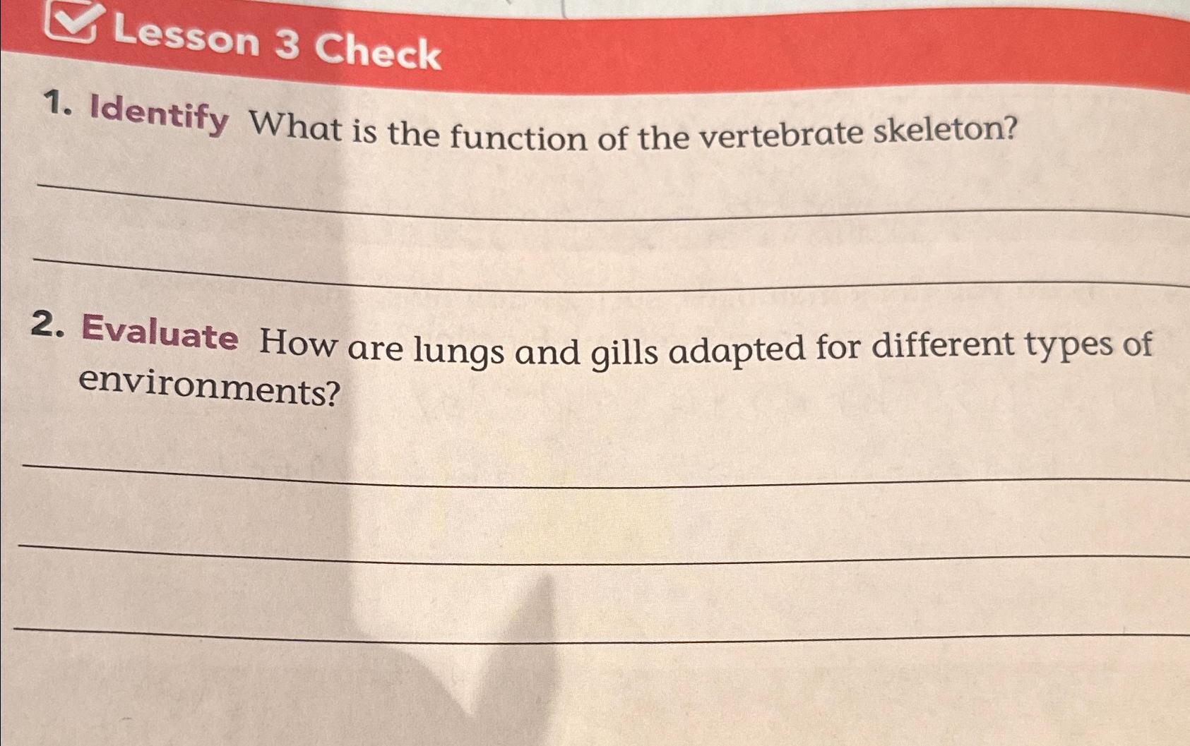 Solved Lesson 3 ﻿CheckIdentify What is the function of the | Chegg.com