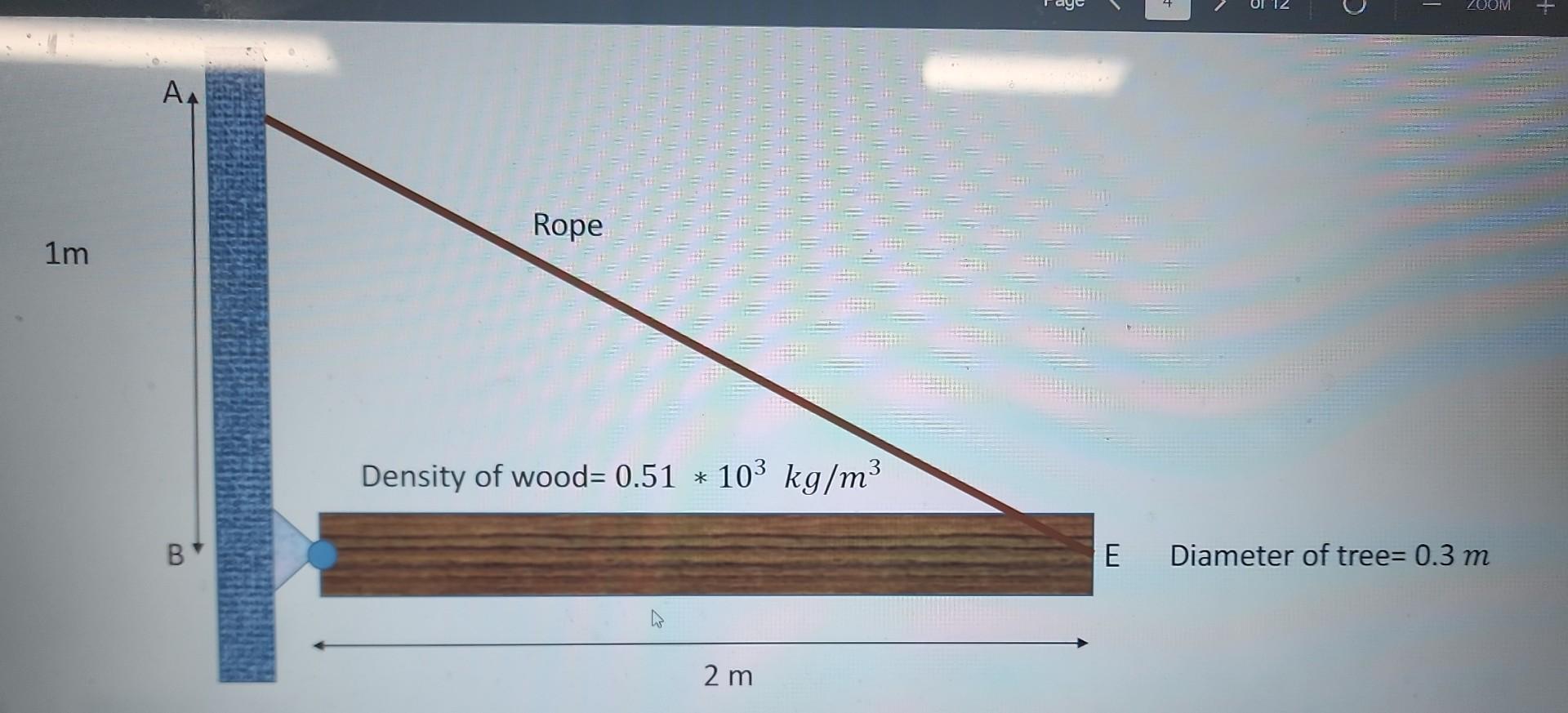Solved P2-Find Reaction Forces at Support B and the Rope | Chegg.com