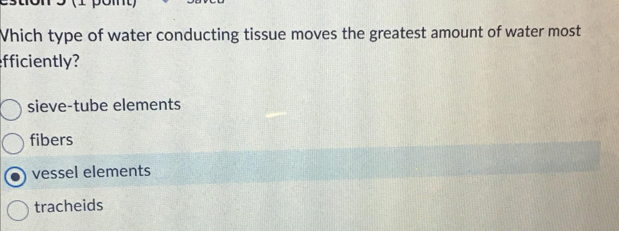 Solved Vhich type of water conducting tissue moves the | Chegg.com
