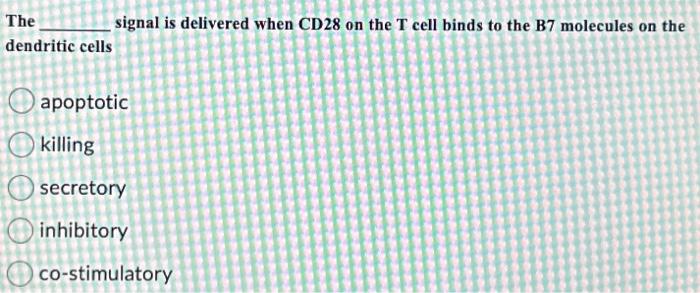 Solved The signal is delivered when CD28 on the T cell binds | Chegg.com
