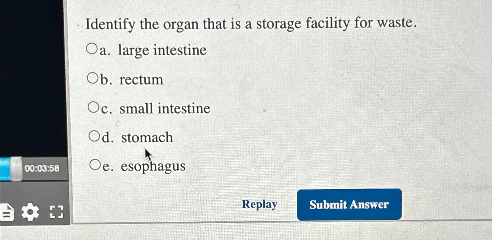 Solved Identify the organ that is a storage facility for | Chegg.com