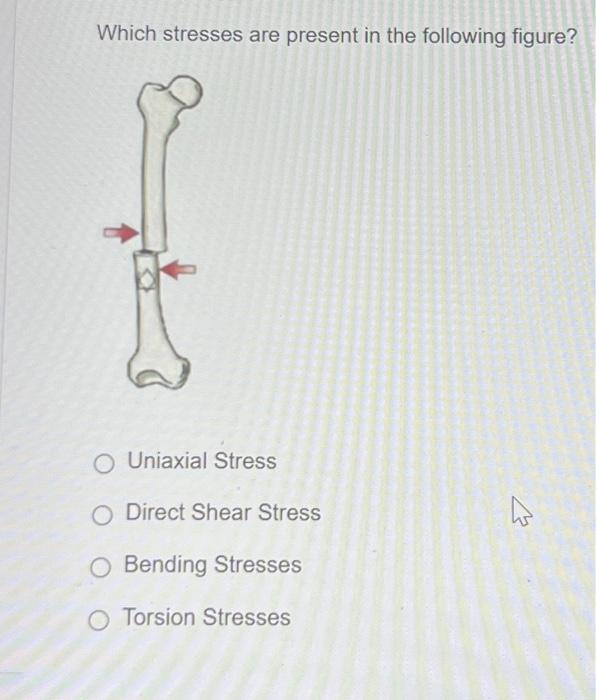 Which stresses are present in the following figure? | Chegg.com