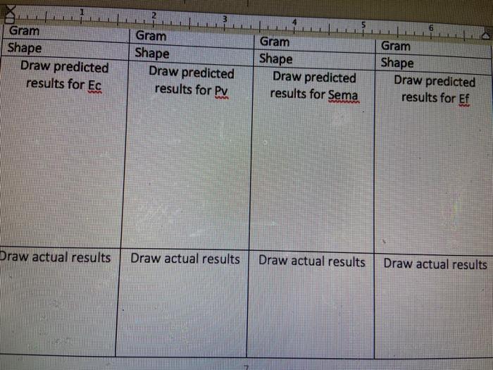 Solved I need help with drawing the proper inoculation | Chegg.com
