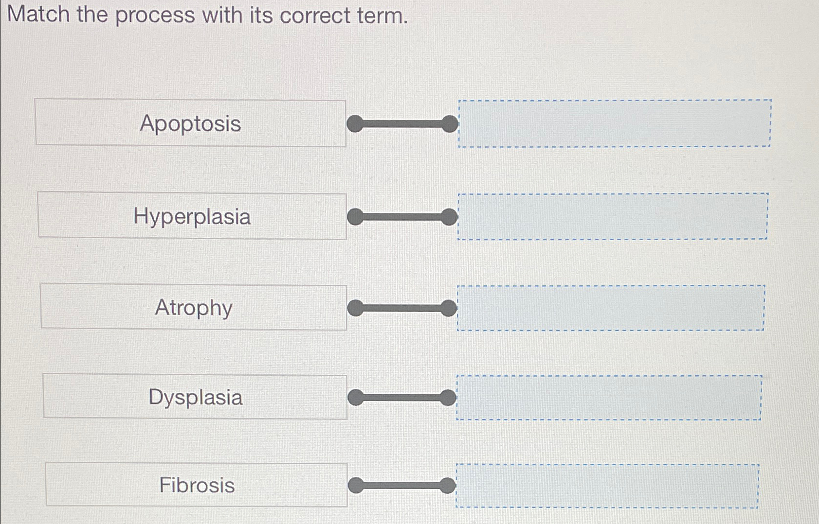 Solved Match the process with its correct term. | Chegg.com