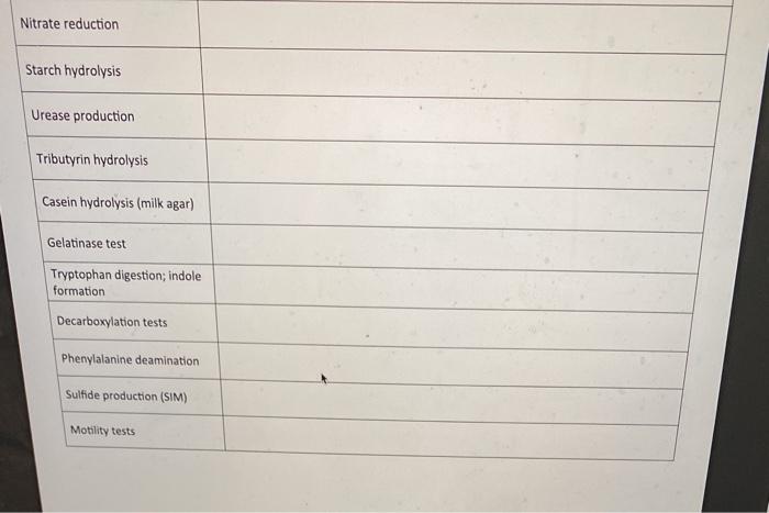 Solved Nitrate reduction Starch hydrolysis Urease production | Chegg.com