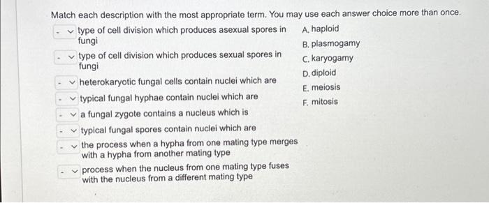 Solved Match each description with the most appropriate | Chegg.com