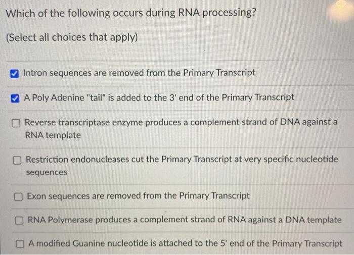 Solved Which of the following occurs during RNA processing? | Chegg.com
