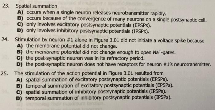 Solved 23. Spatial summation A) occurs when a single neuron | Chegg.com