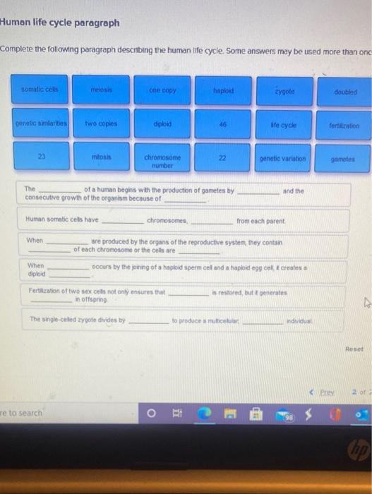 Solved Human life cycle paragraph Complete the following | Chegg.com