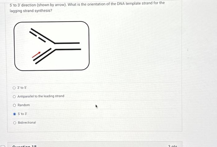 Solved 5' to 3' direction (shown by arrow). What is the | Chegg.com