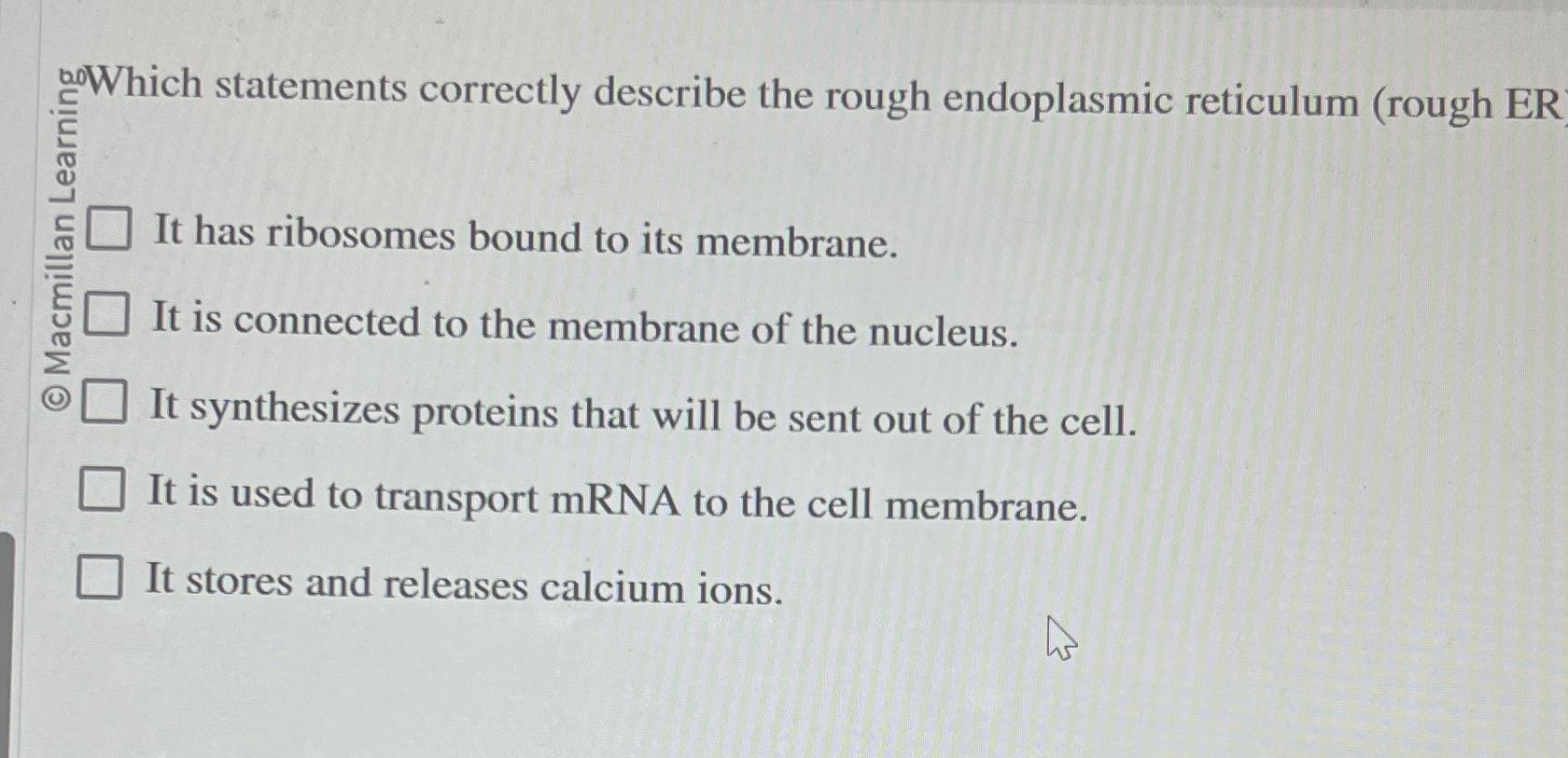 Solved Which statements correctly describe the rough | Chegg.com
