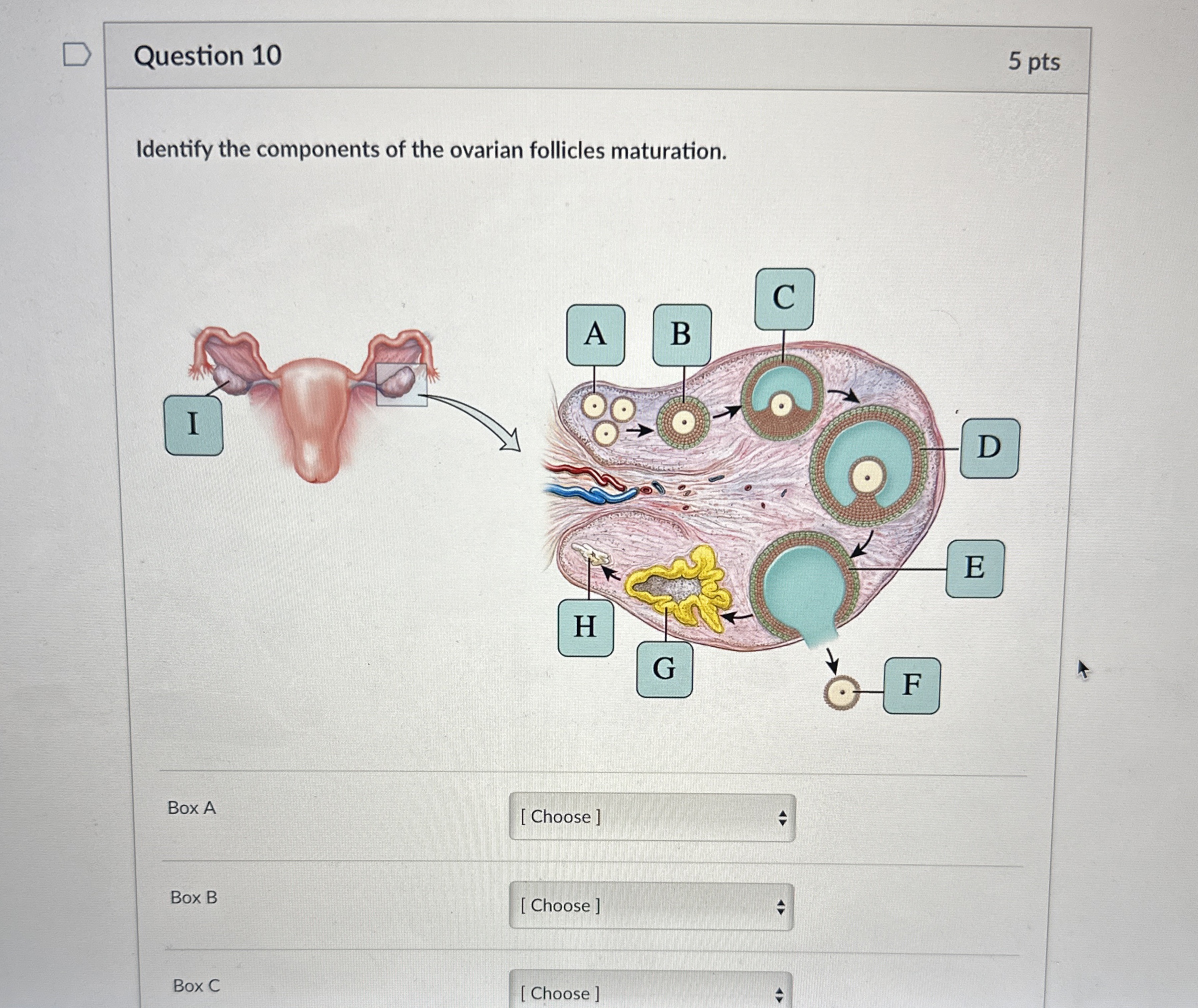Solved Question 105 ﻿ptsIdentify the components of the | Chegg.com