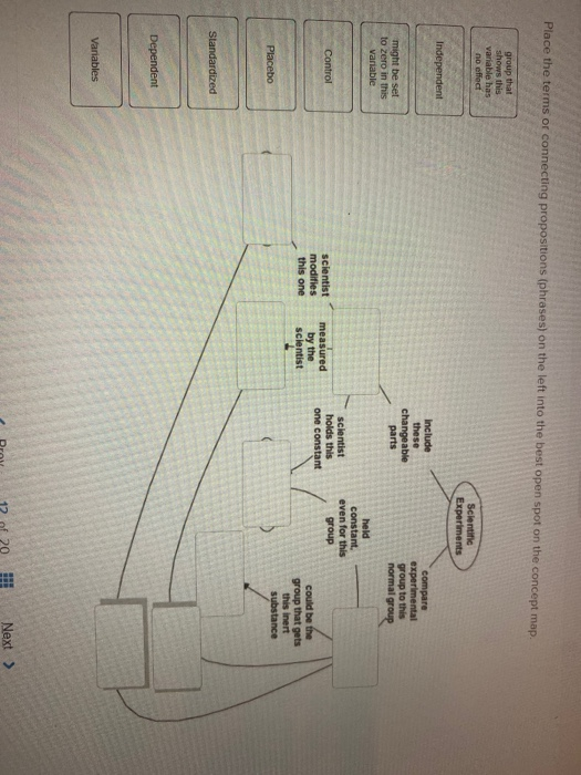 Solved Place the terms or connecting propositions (phrases) | Chegg.com