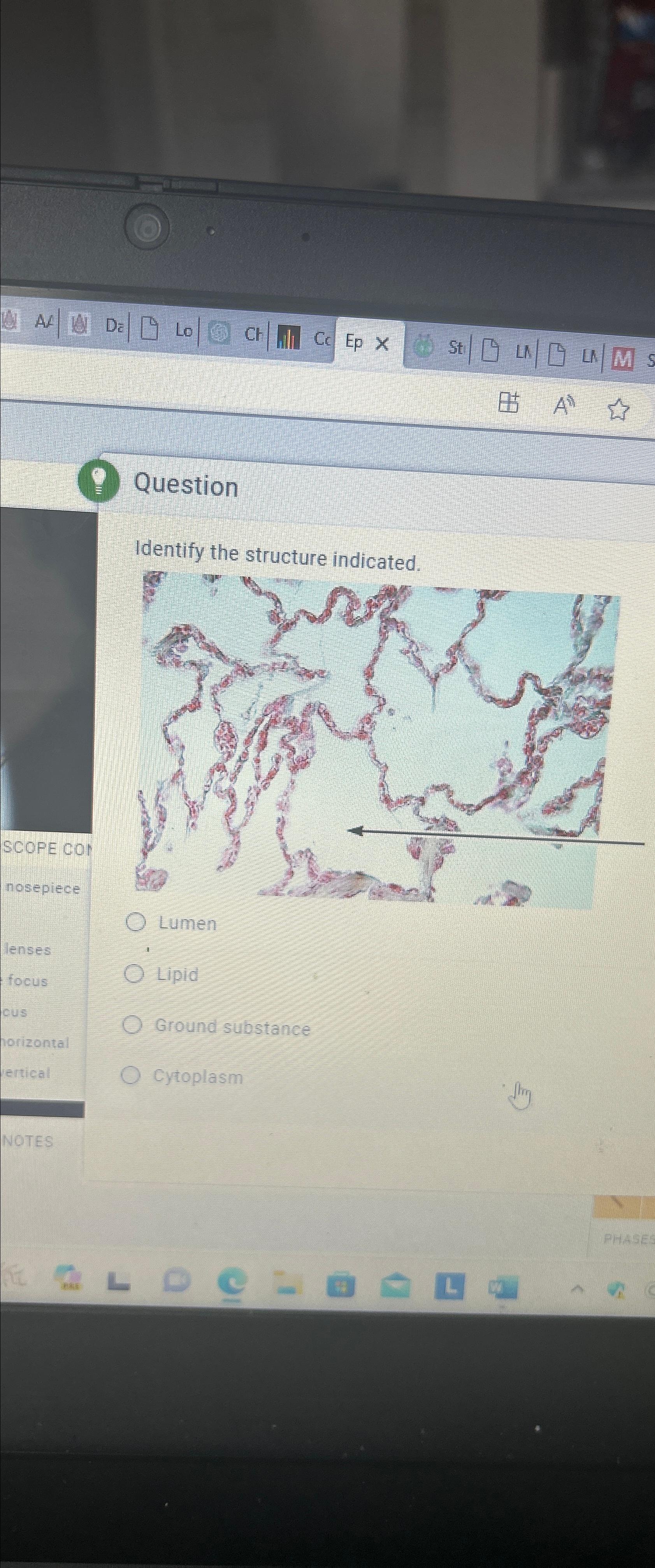 Solved QuestionIdentify the structure | Chegg.com