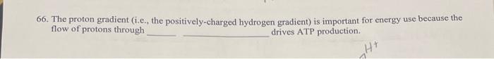 Solved 66. The proton gradient (i.e., the positively-charged | Chegg.com