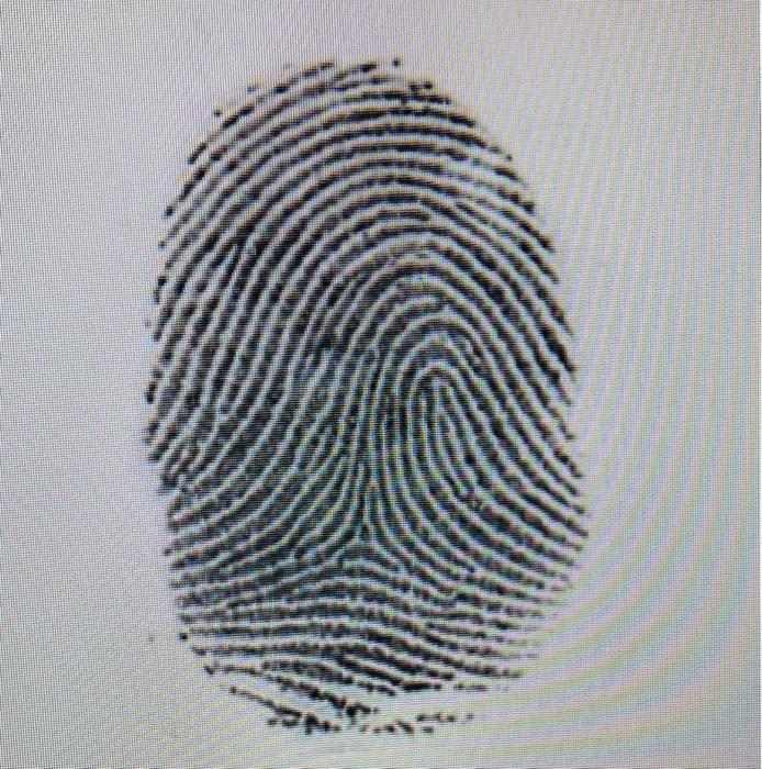 Solved its forensic Science. For this fingerprint, determine | Chegg.com