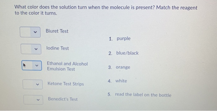 Solved What color does the solution turn when the molecule | Chegg.com