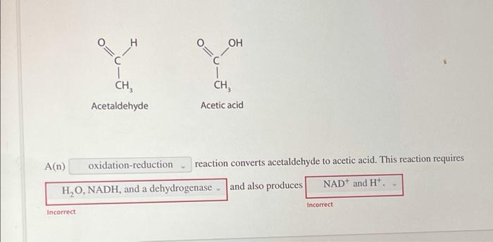 Solved For each pair of biomolecules, identify the type of | Chegg.com