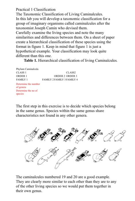 Solved Practical 1 Classification The Taxonomic | Chegg.com