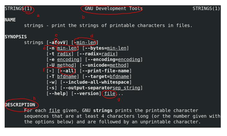 Solved For each of the man page syntax terms below, identify | Chegg.com