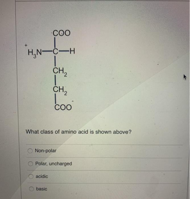 Solved COO H2N-C-H CH2 CH2 COO What class of amino acid is | Chegg.com