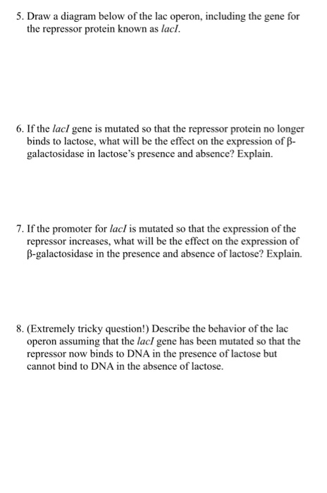 Solved 5. Draw a diagram below of the lac operon, including | Chegg.com
