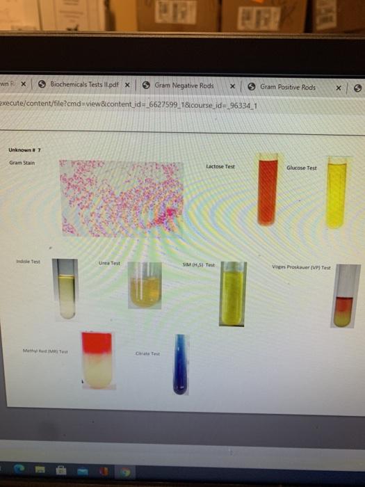 Solved 1702011.pdf New Tab 171 90% Biochemical Unknown | Chegg.com