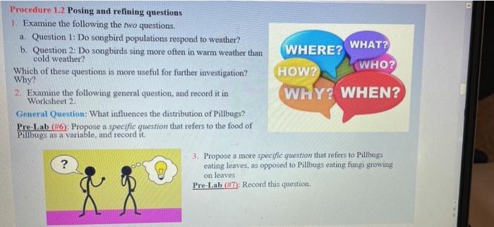 Solved Procedure 1.2 Posing and refining questions 1 Examine | Chegg.com