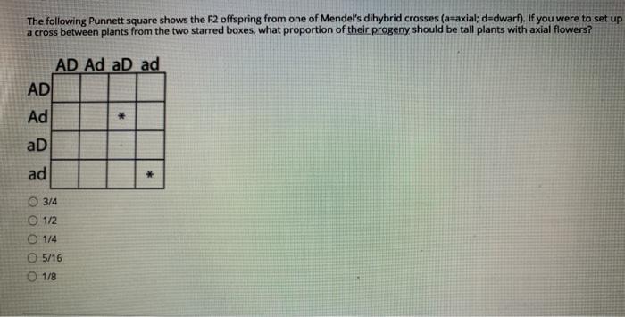 Solved The following Punnett square shows the F2 offspring | Chegg.com