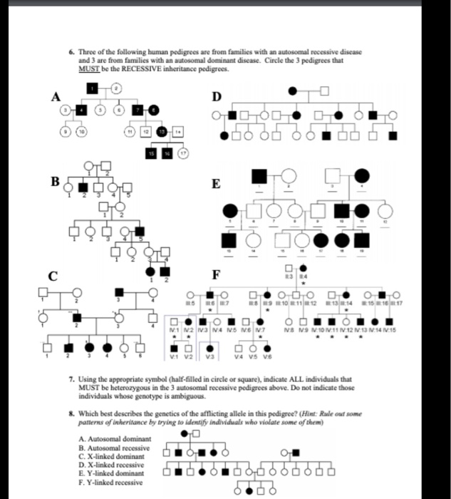 Solved 6. three of the following human pedigrees are from | Chegg.com