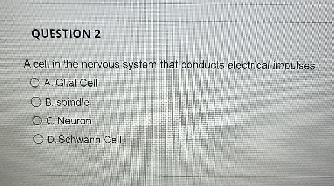 Solved QUESTION 2A cell in the nervous system that conducts | Chegg.com