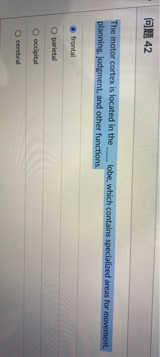 Solved 问题41 This is a primitive structure involved in fine | Chegg.com