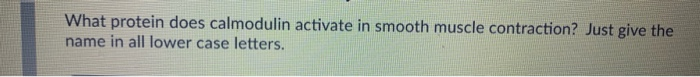 Solved What protein does calmodulin activate in smooth | Chegg.com