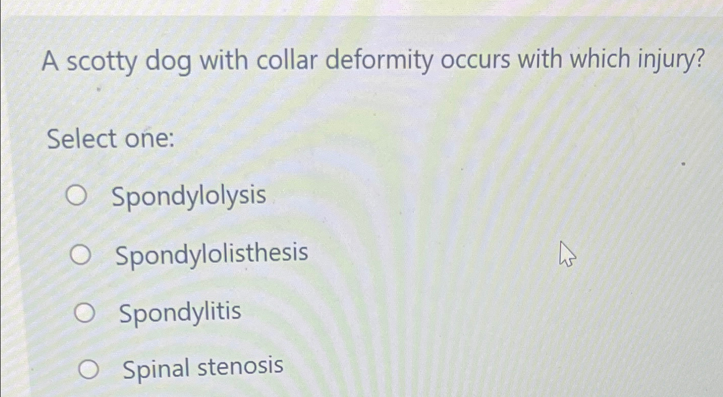 Solved A scotty dog with collar deformity occurs with which | Chegg.com