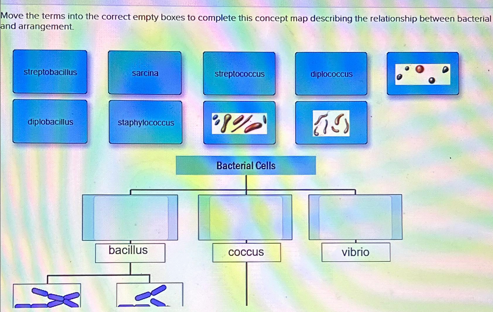 Solved Move the terms into the correct empty boxes to | Chegg.com