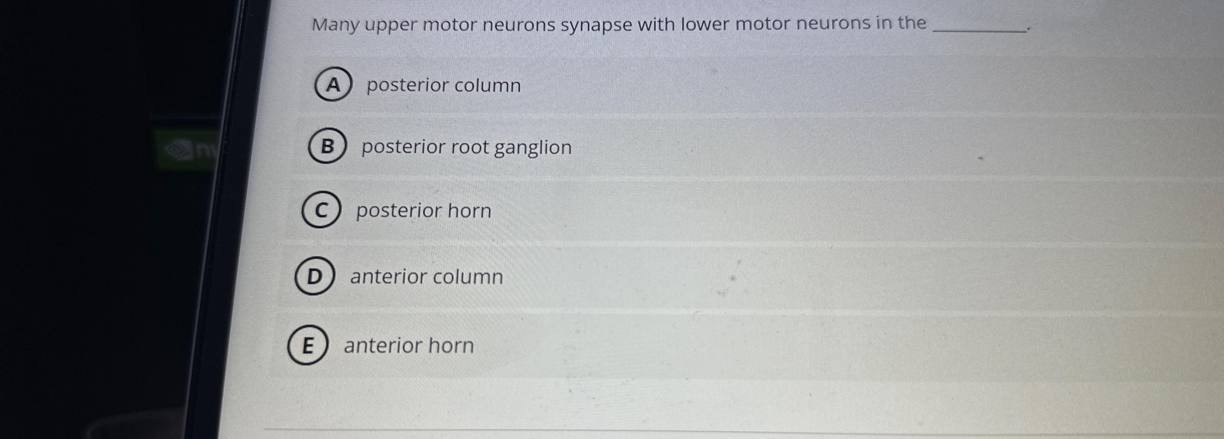 Solved Many upper motor neurons synapse with lower motor | Chegg.com