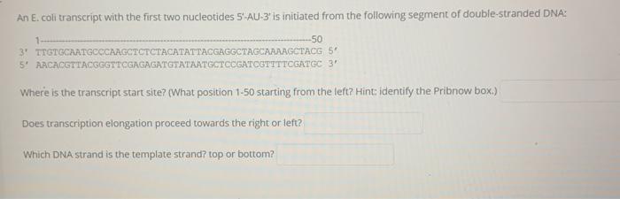 Solved An E. coli transcript with the first two nucleotides | Chegg.com